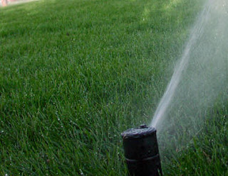 AboveCapricorn: Effective Turf Irrigation