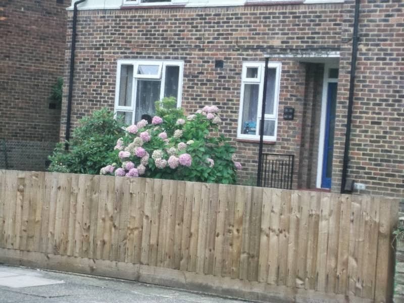 London buses one bus at a time: the return: The R11 Route