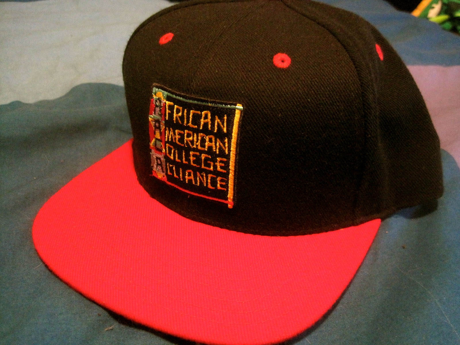 DON D WORLD: African American College Alliance 1991 Snapback hat