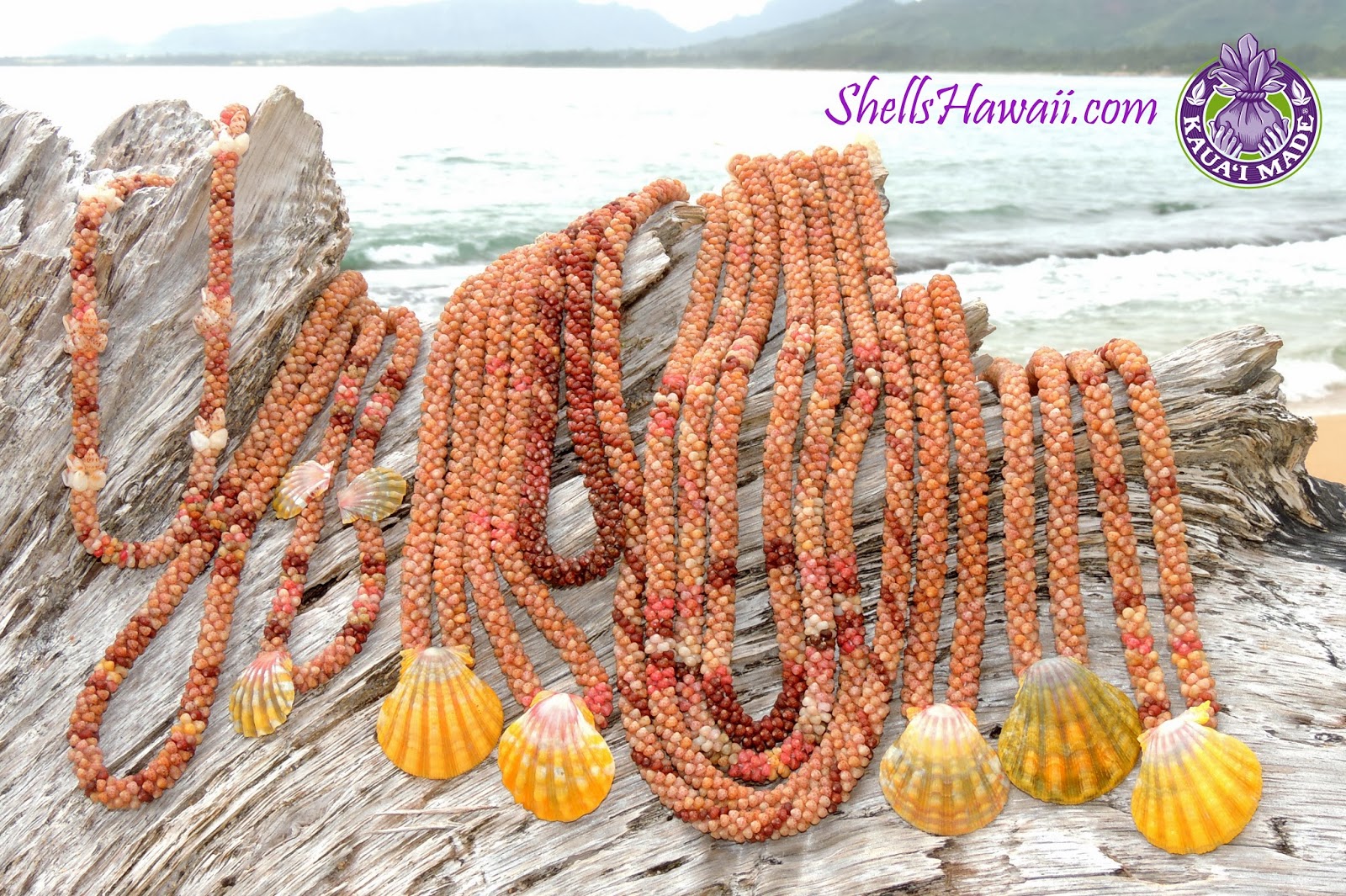 Kahelelani & Sunrise shell jewelry by.... Janjira: Kahelelani shell ...