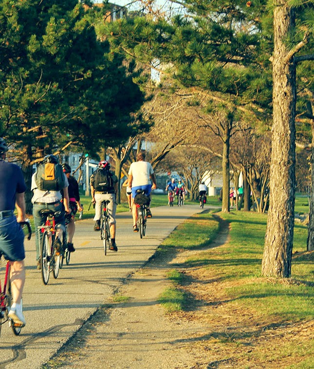 Madison Bike Life: Spring Transformation of Bike Paths