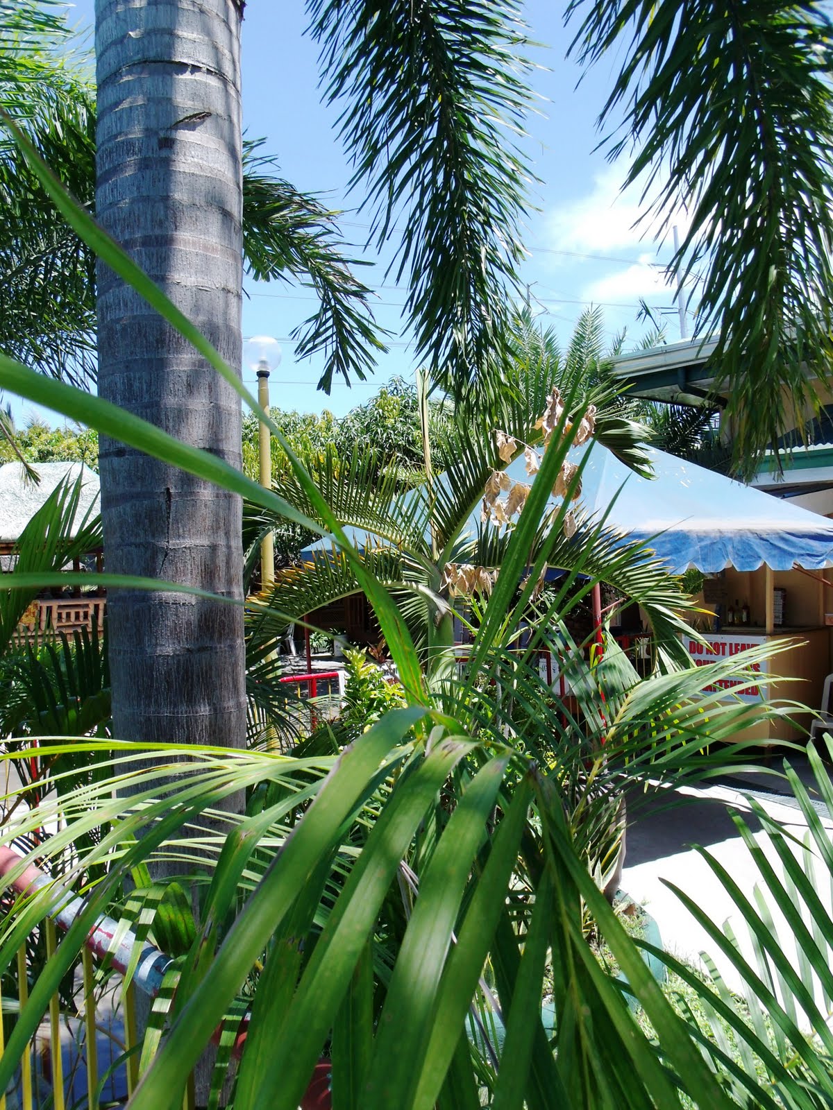 Traveling Morion | Travel + Photography: Morion's PhotoTravel Diary ...