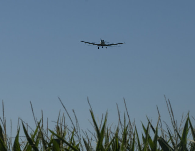 Bailey's Buddy: Aerial Spraying Acrobatics! Photos by Bob Kelly