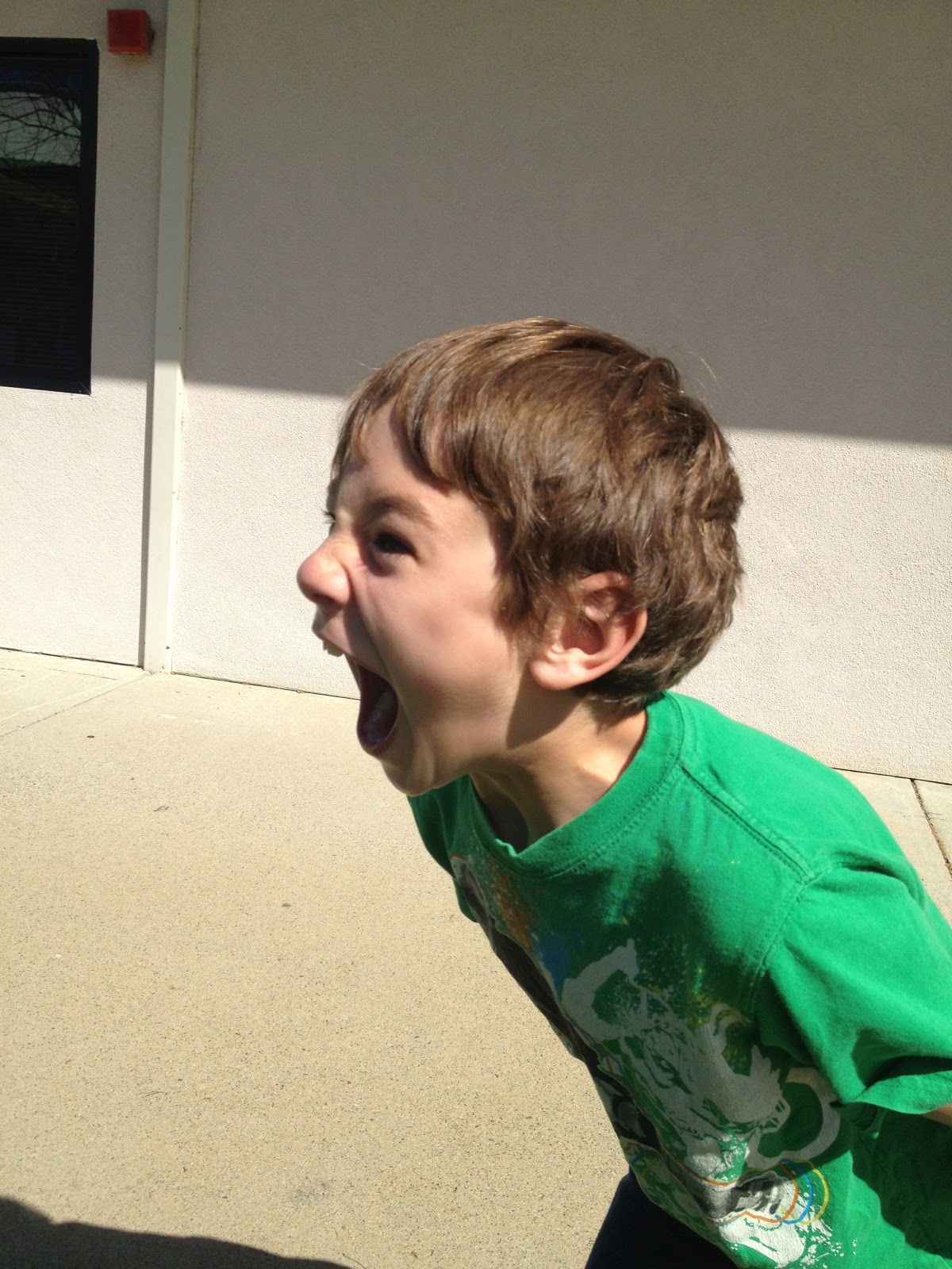 SCREAMIN' GOOD SUMMARY IDEA - Teacher Idea Factory