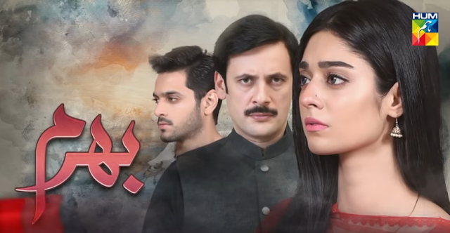 Bharam 2019 Pakistan Dizisi - Tutkunun Rengi