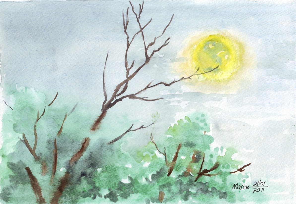 Sketching in Nature: Full Moon Wonder - Maree