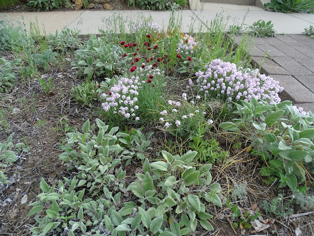 Prairiebreak: A heavenly Hell Strip