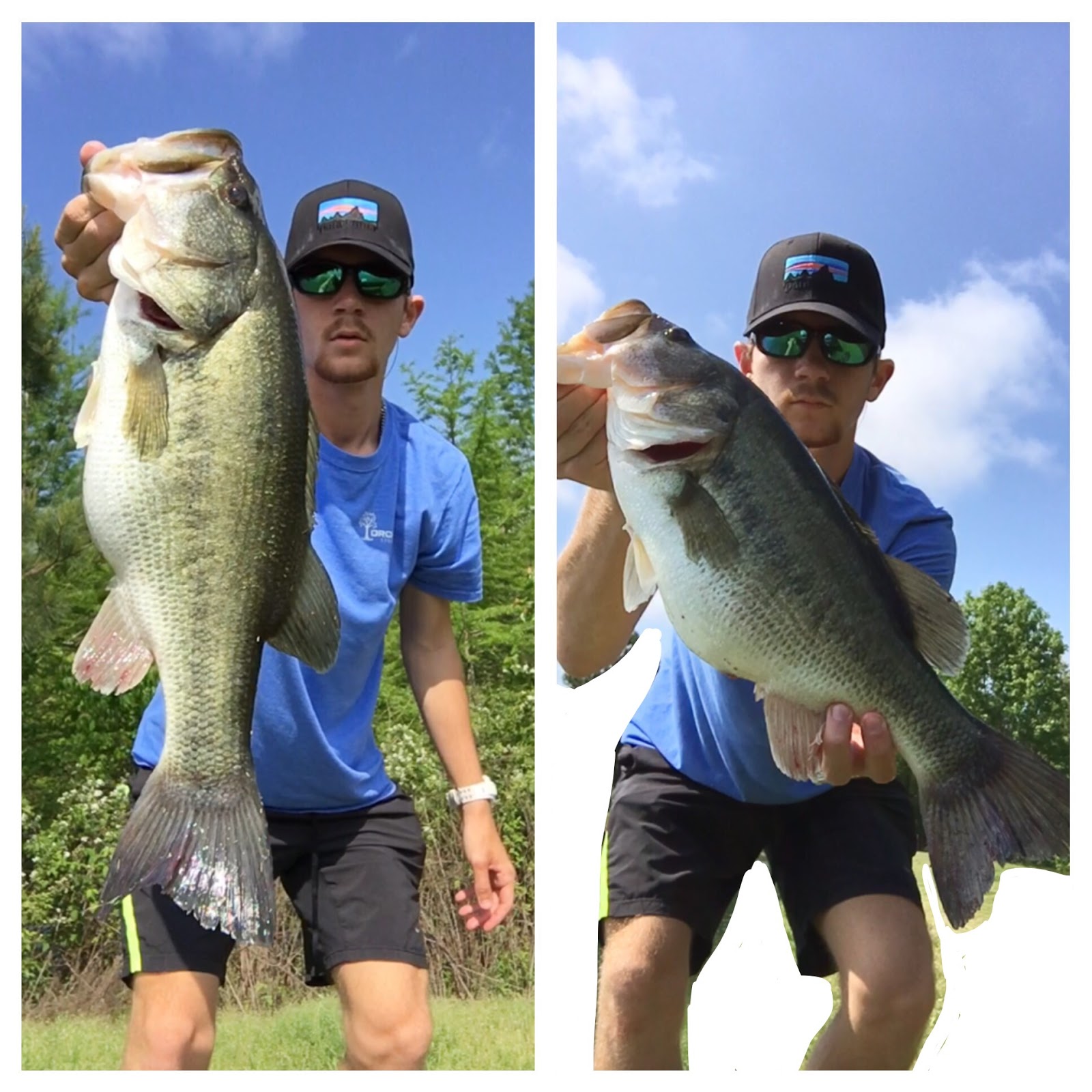 Coleman's Fishing Blog