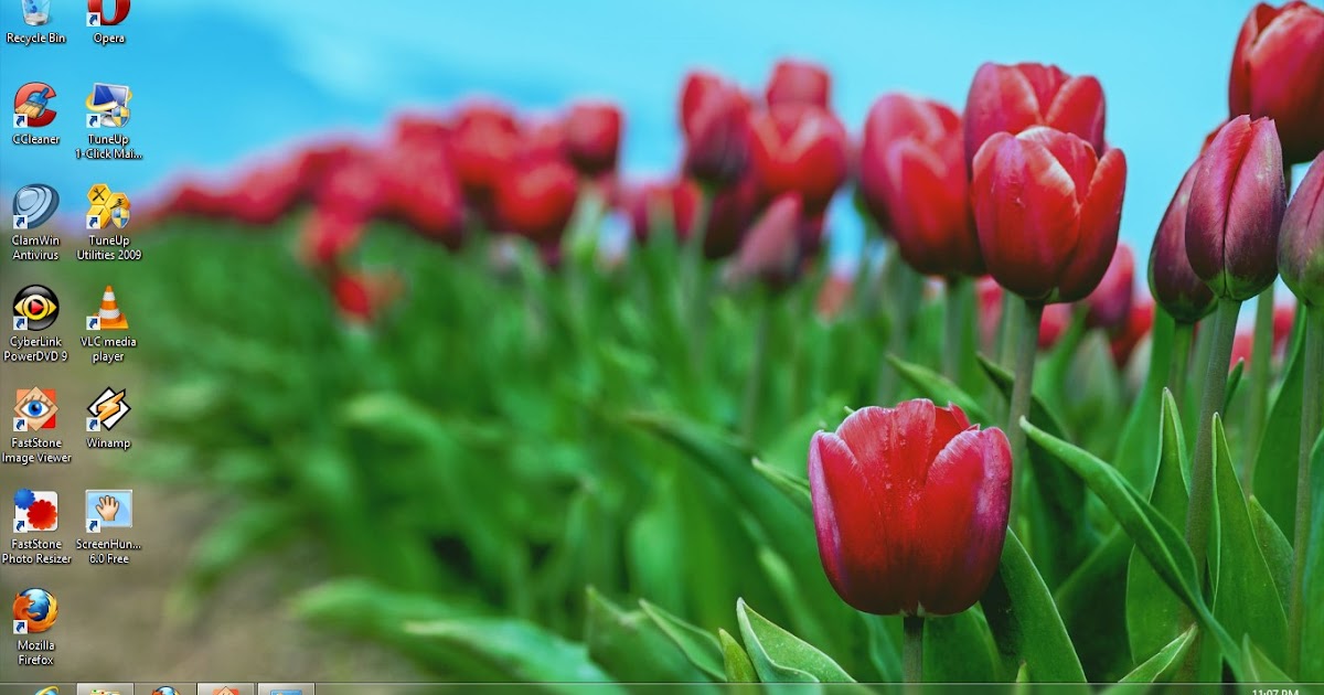 Free Windows Theme: Flower Windows 8 Themes | Download 100% free themes ...