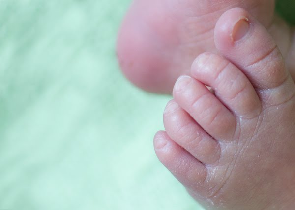 Baby Jackson - Holly Springs Newborn Photography