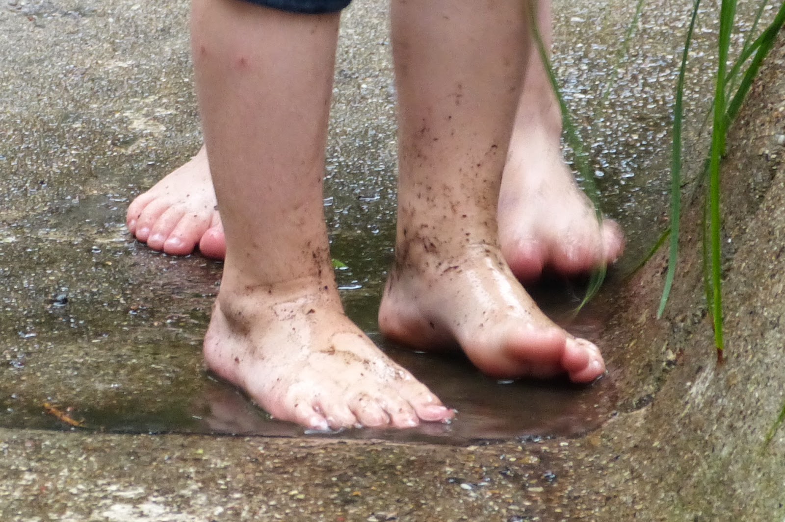 Paula's Primary Classroom: Farm, puddles, bugs, BRIT, and zoo!