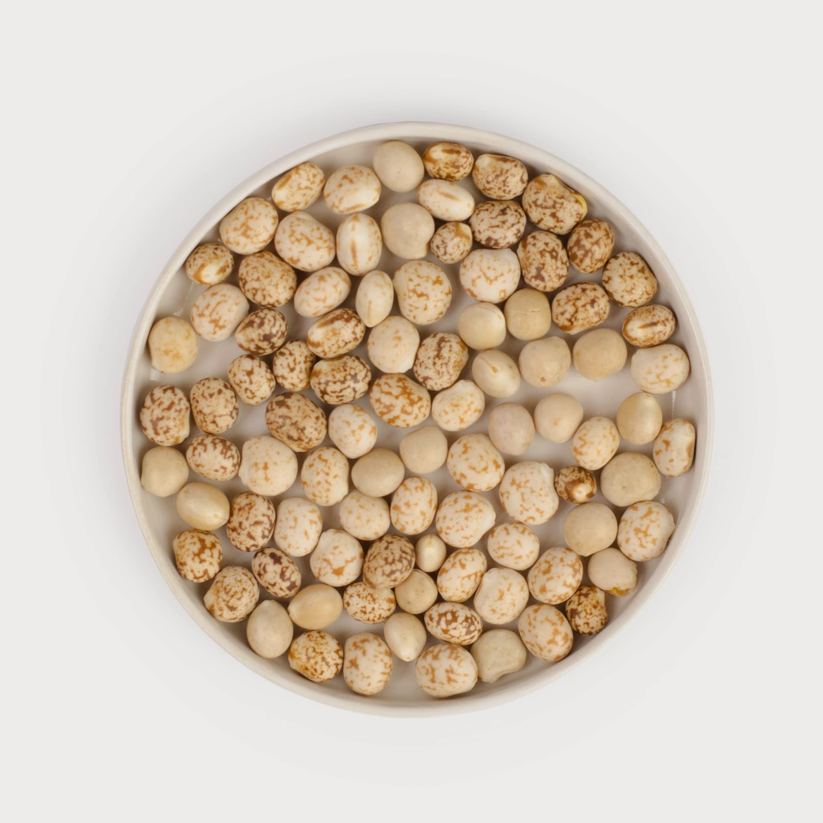 Sweet Lupin Coffee Roasting (hold your burrs)