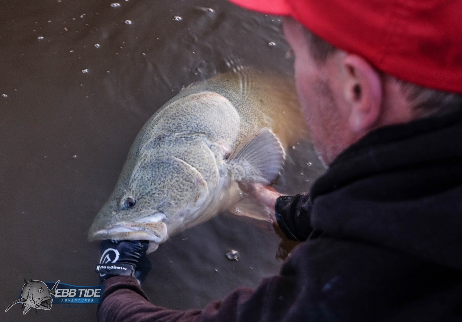 Copeton and the Quest for a Meter Cod