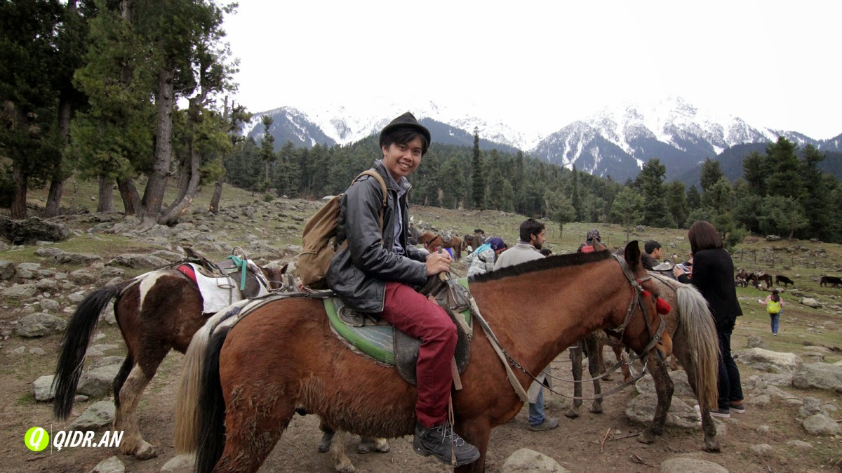 qidr.an ©: Kashmir 2014 | Day 3 Pahalgam : Pony ride