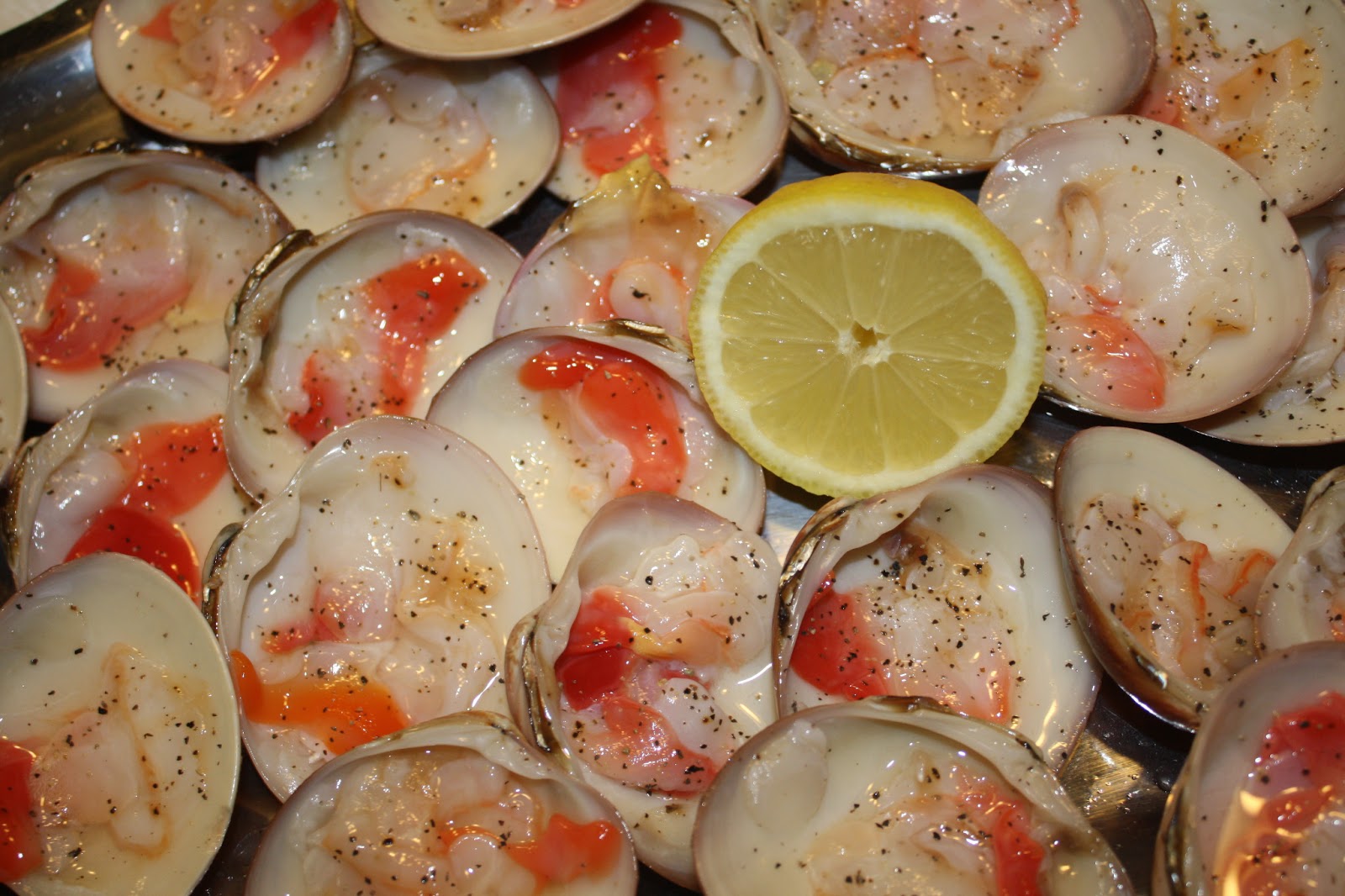 Conchas finas al natural