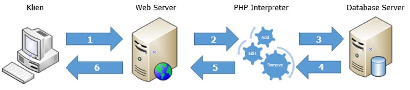 Memahami Pengertian dan Sejarah Database Server Untuk Pemula