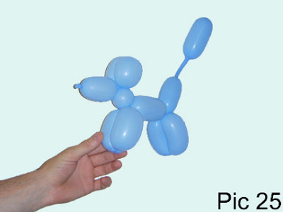 CLASSICAL: Balloon dog