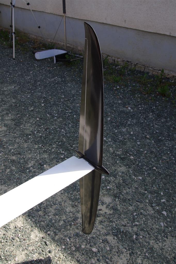 A good mix of Creativity: Axeman Moth again fly over