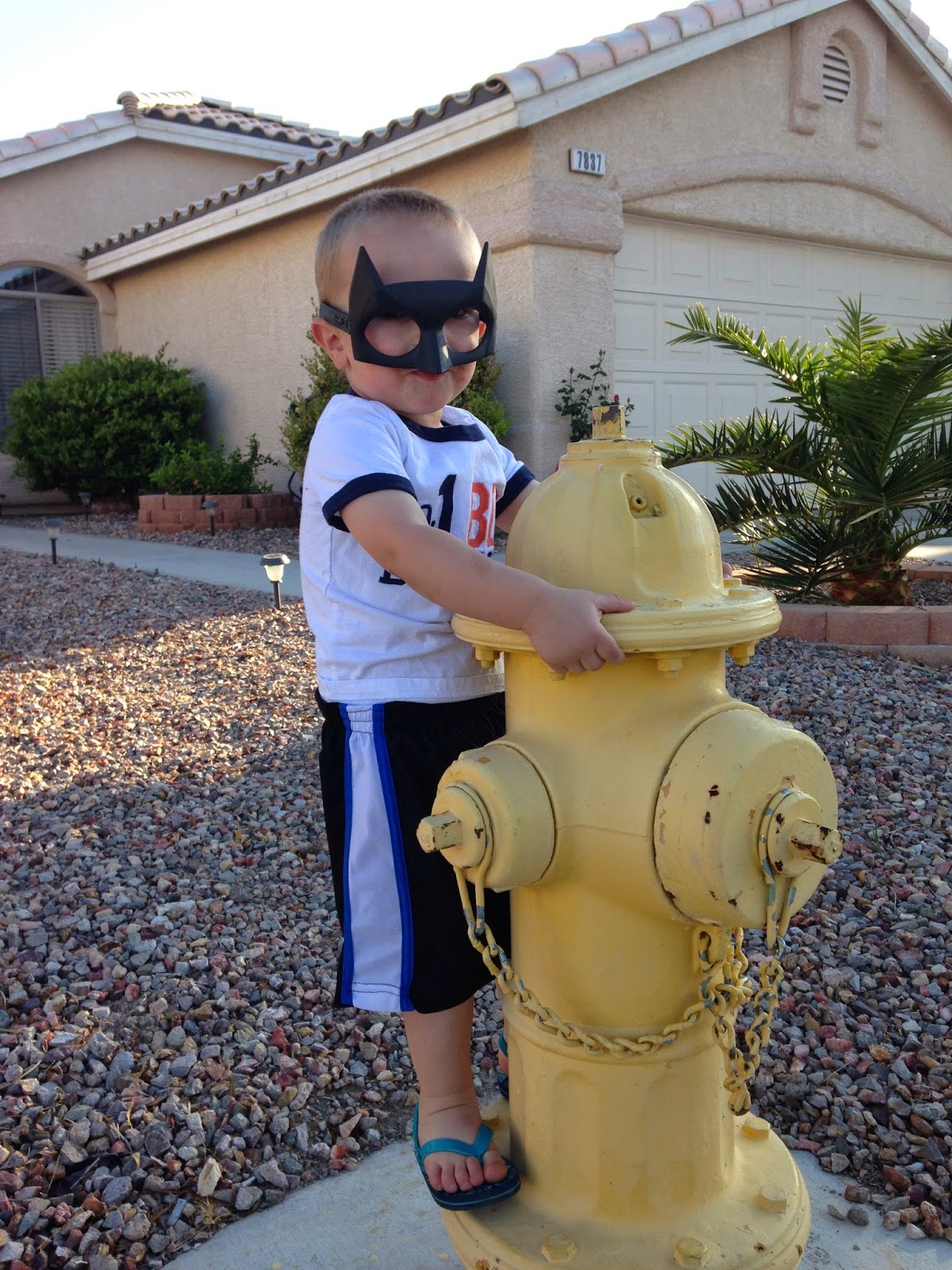 my heart is a house: toddler update: my big boy & his junk