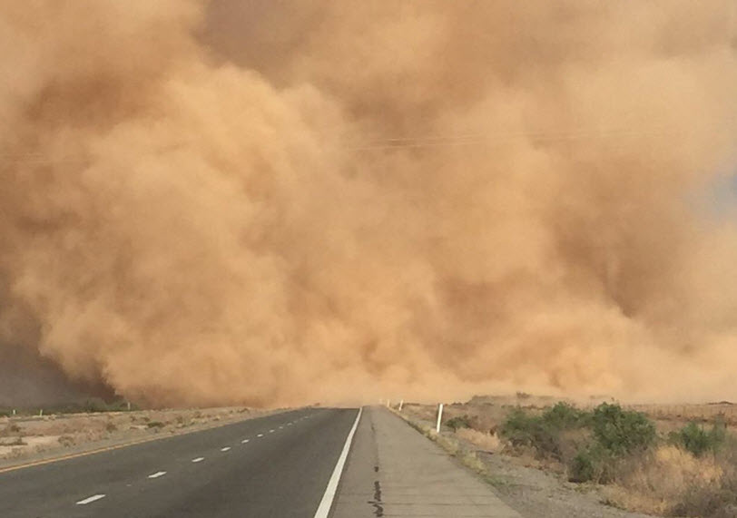 Undulant Fever: Arizona Dust Storm -- Moving Fast