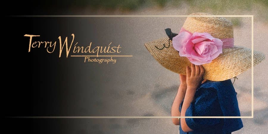 Writing Mentor: Terry Windquist Photography