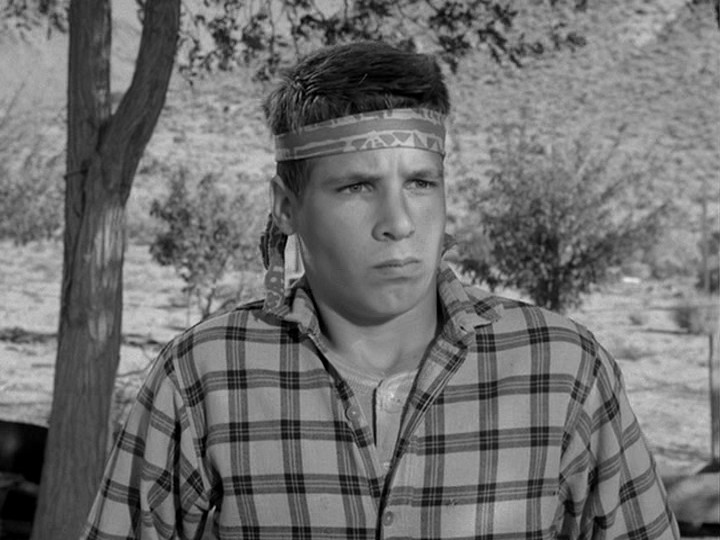 Eclectic Banana: Don Grady