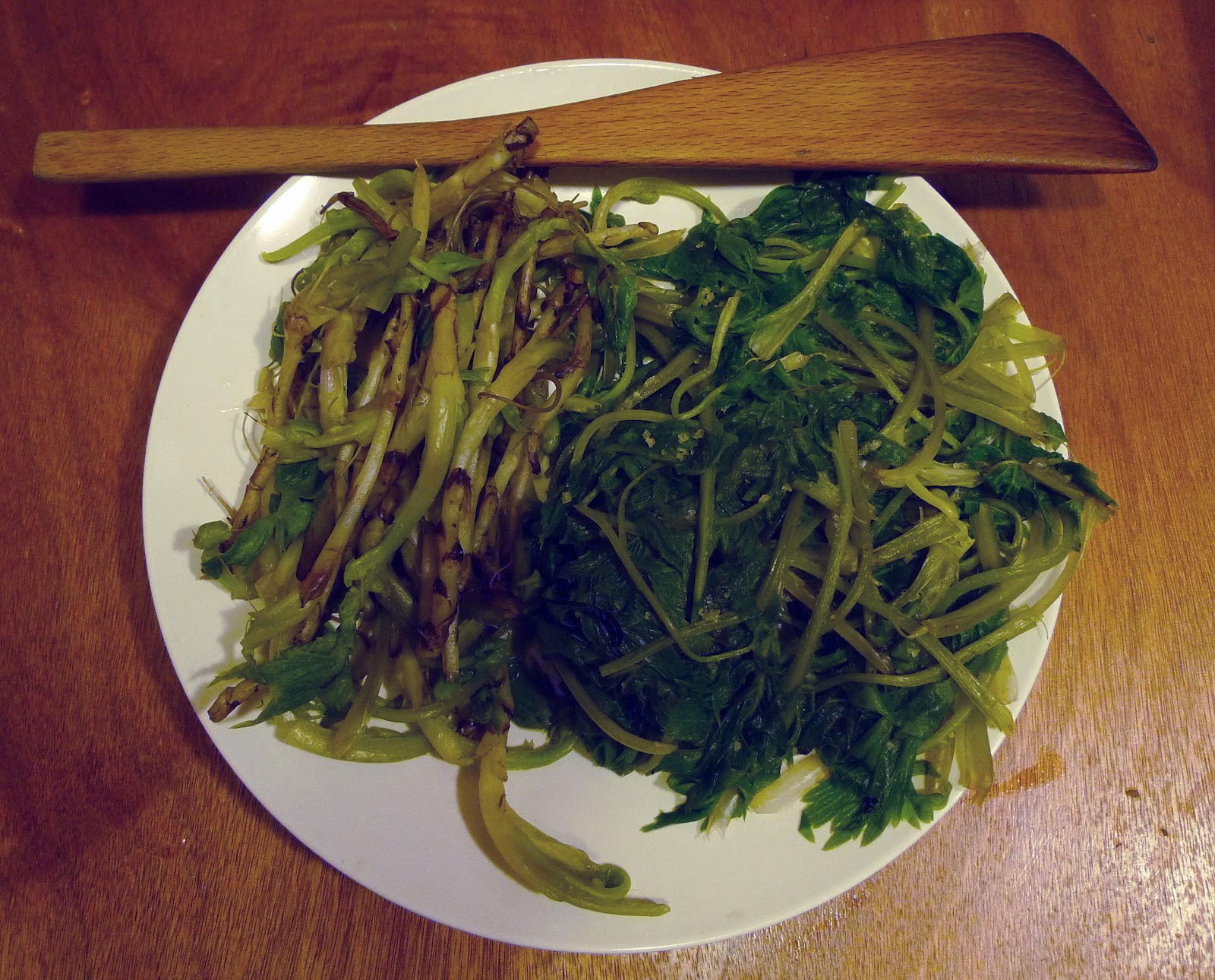 Wild Harvests: Pacific Waterleaf, our first spring veggie