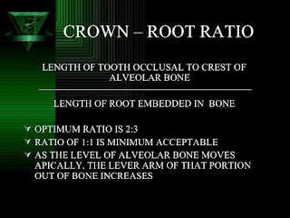 Crown-to-root ratio