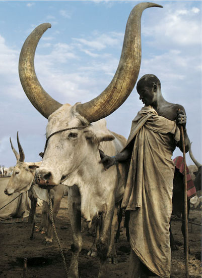 Dinka - The Tallest People