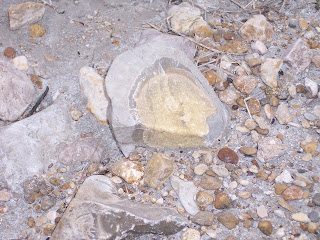 Enloe Museum: North Sulphur River Geodes
