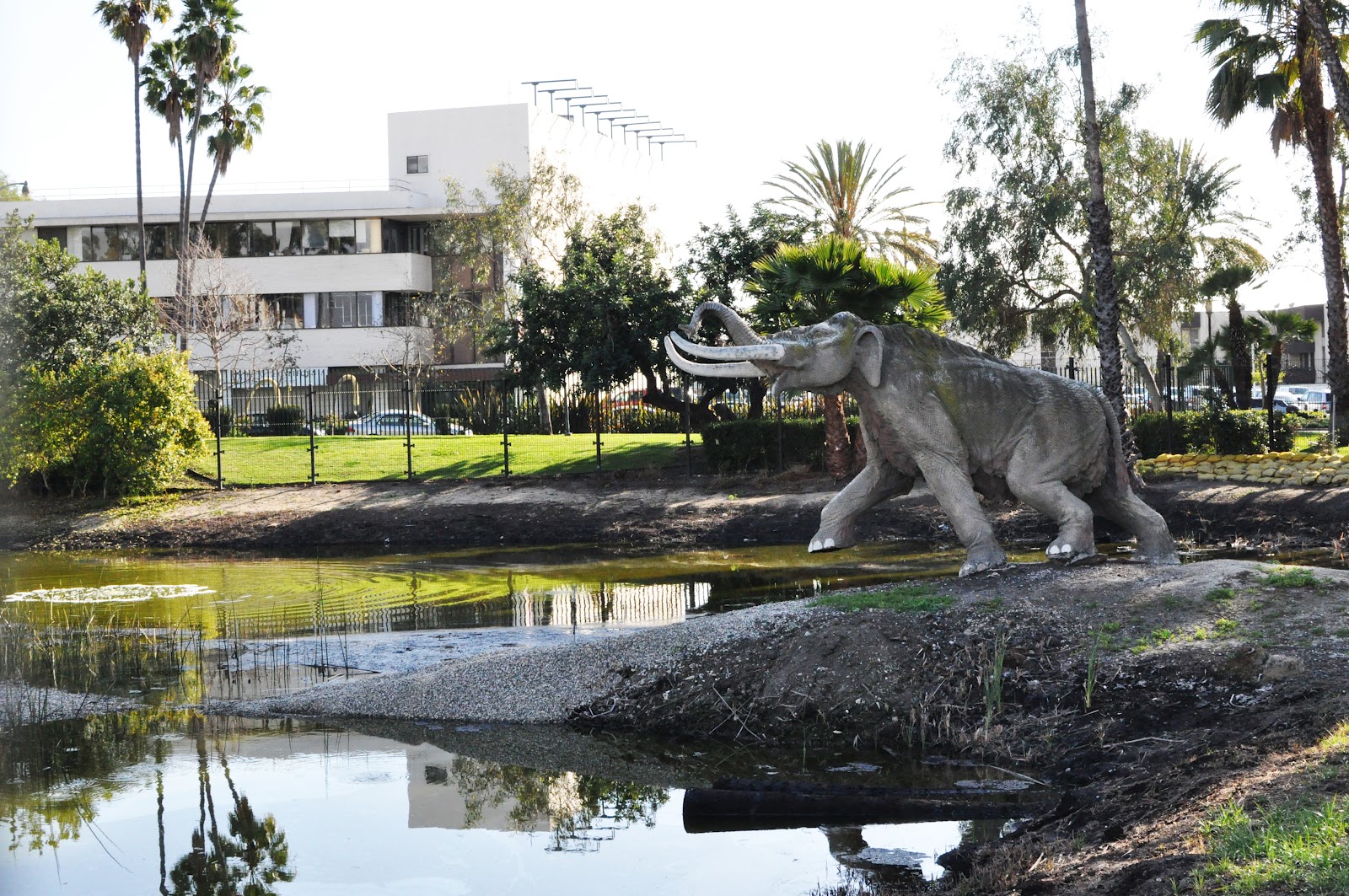 Quaintly Garcia: Page Museum at the La Brea Tar Pits
