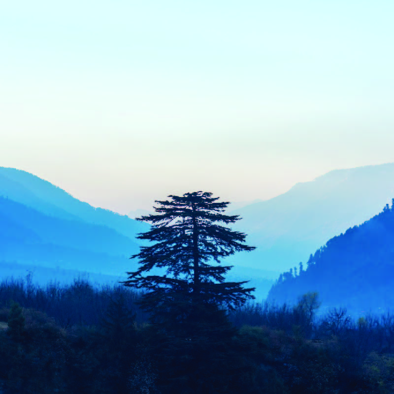 Places to visit in Manali Places to visit in Manali