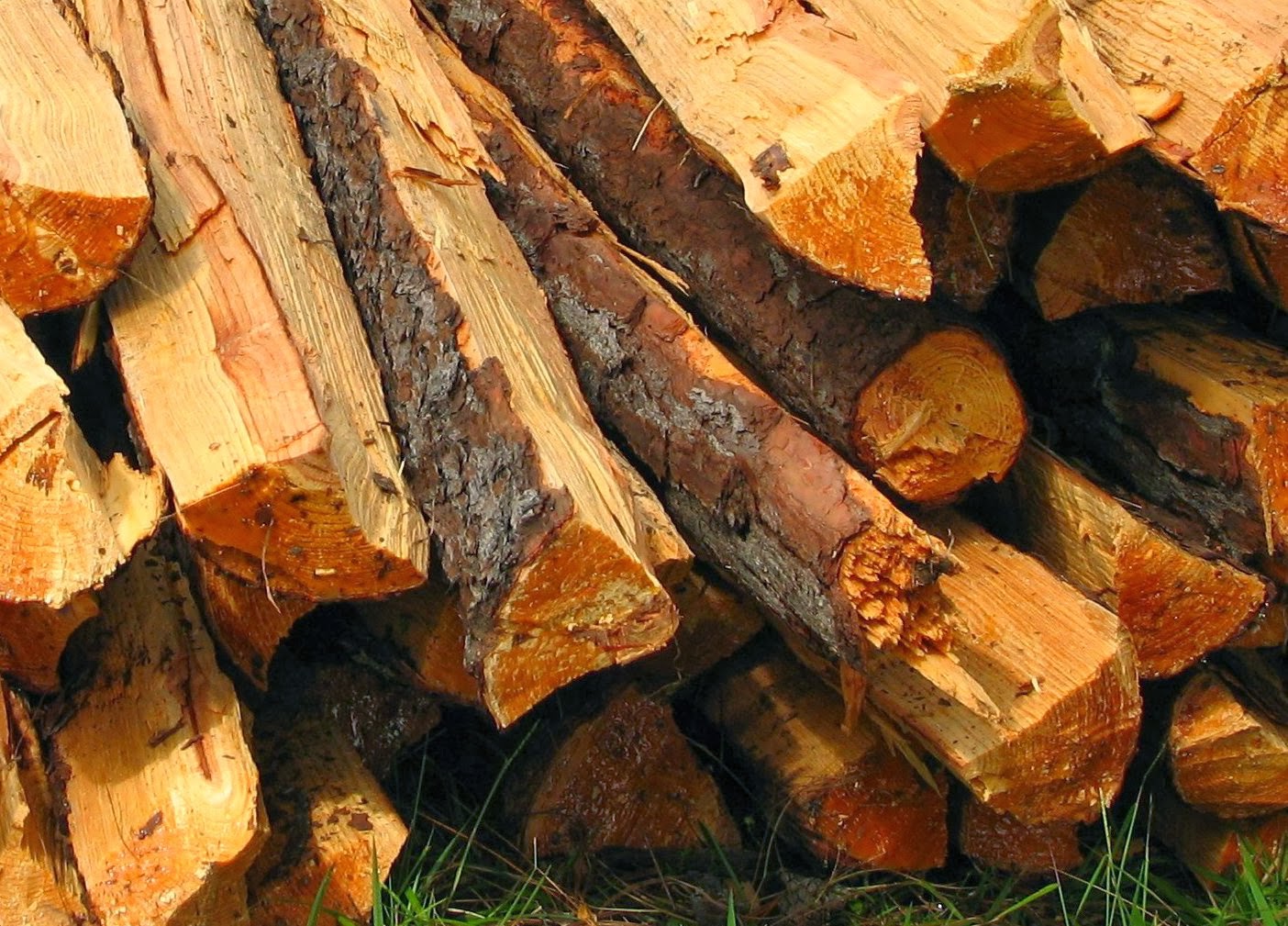 Georgia Market Bulletin Blog: Firewood Alert