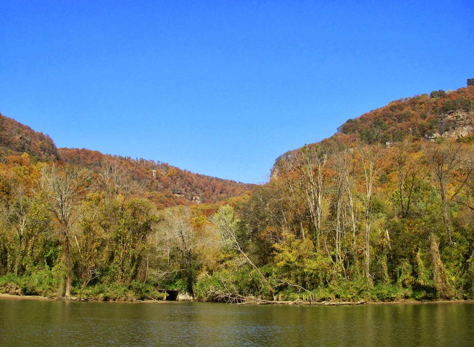 The Tennessee River Gorge