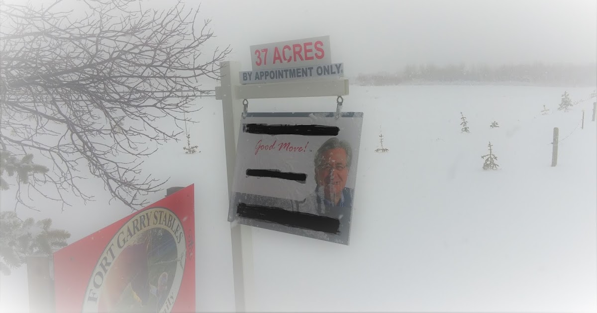 Horse-Crazy Mom: A new adventure?