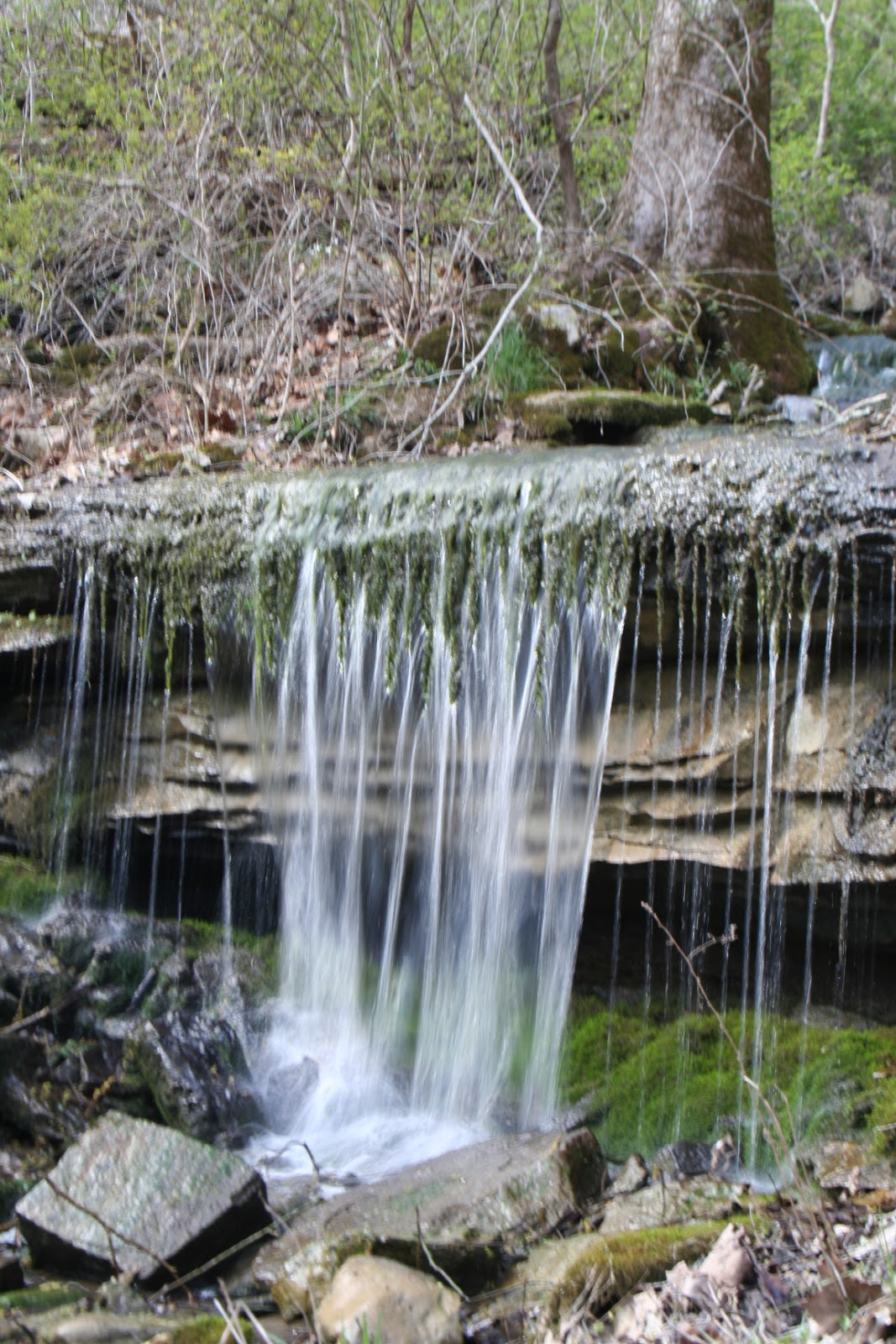 Bloomington, IN: Leonard Springs Nature Park - Explore This City