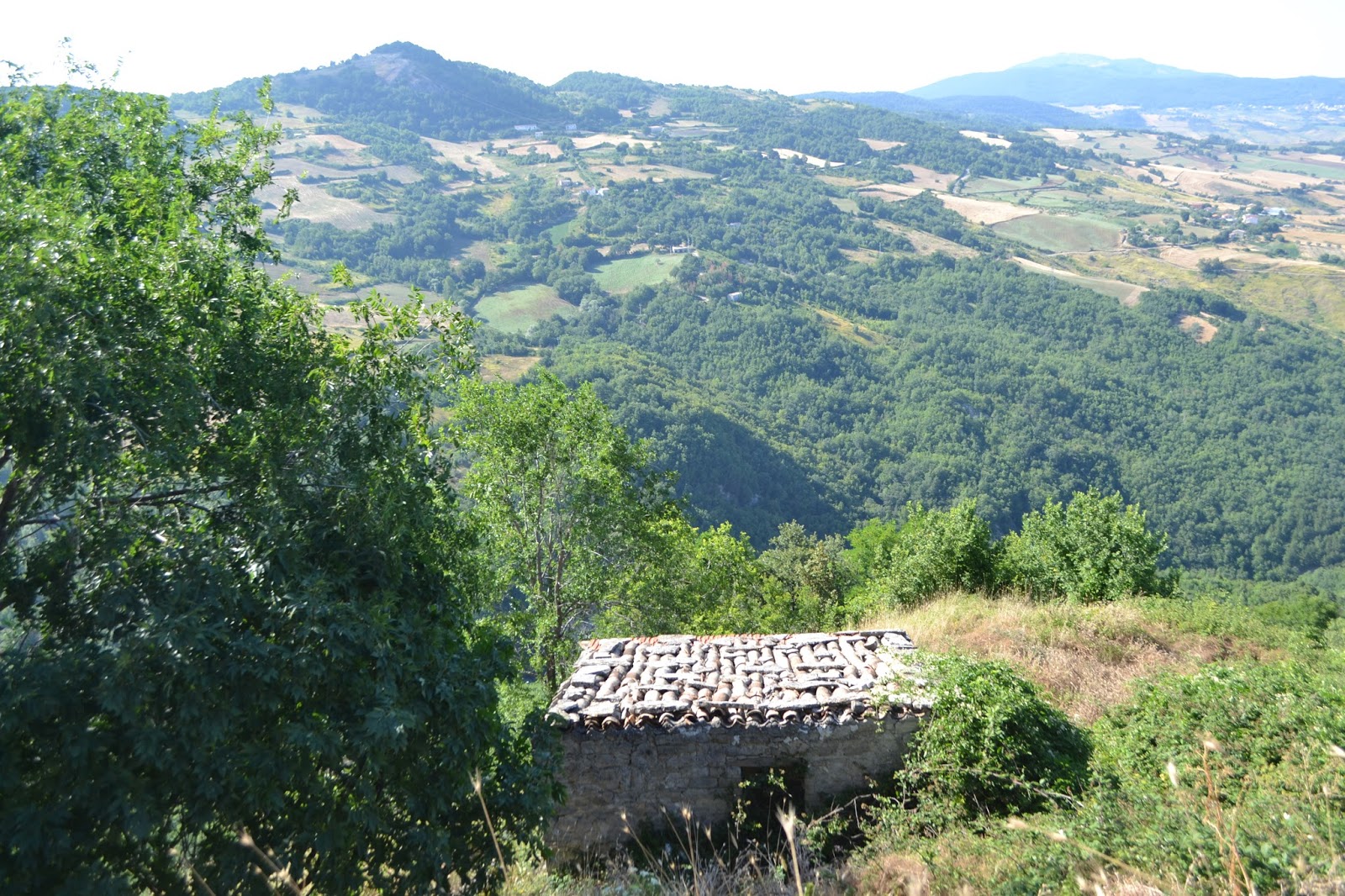As viagens de Chico e Zezé: MONTAZZOLI 2