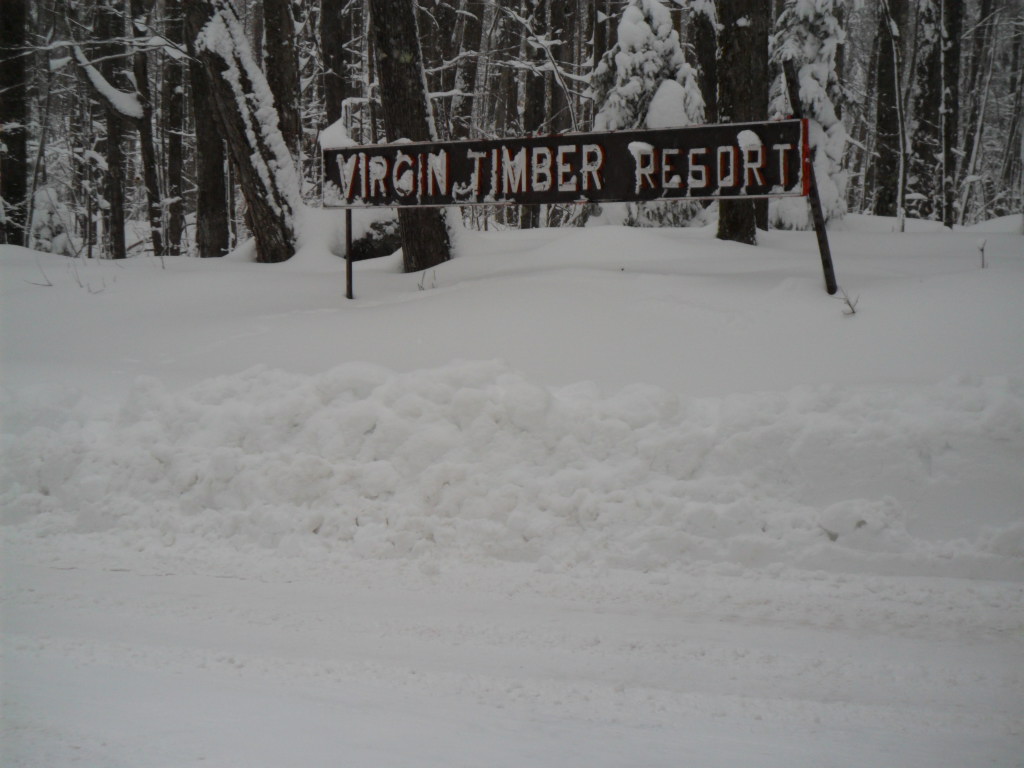 Virgin Timber Resort News