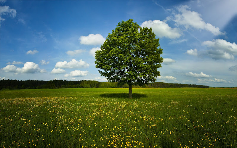 StYliSh zOne: 45 Latest Impressive HD Wallpapers
