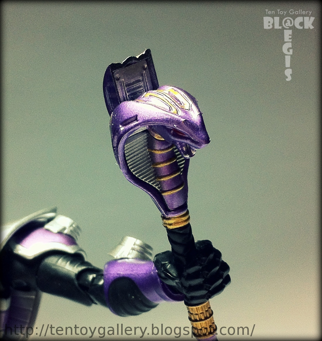 Ten Toy Gallery: Review: S.H.Figuarts Masked Rider Ouja