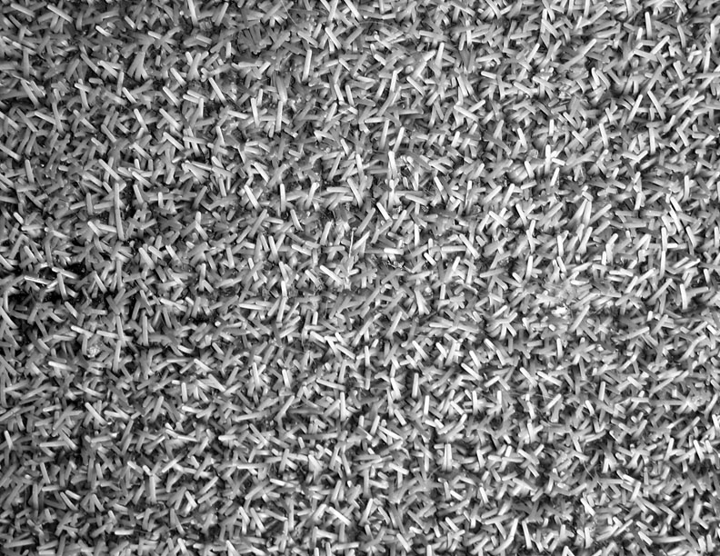 365 Projects: Astro Turf - Texture Photograph