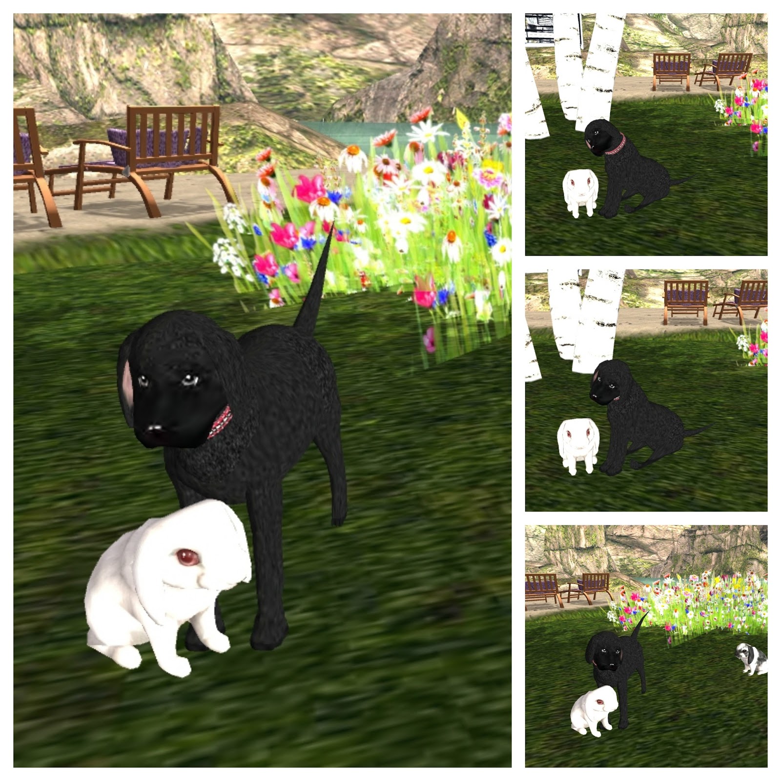 Watch this Virtual Space: Fast post about Second Life Pets