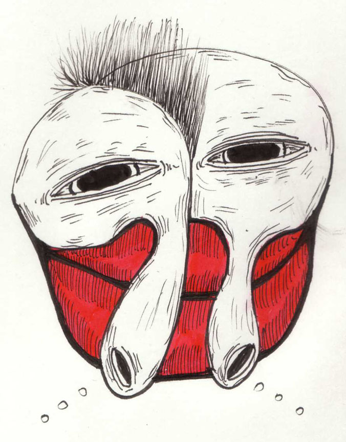 ***bMossman ART***: Nose Balls