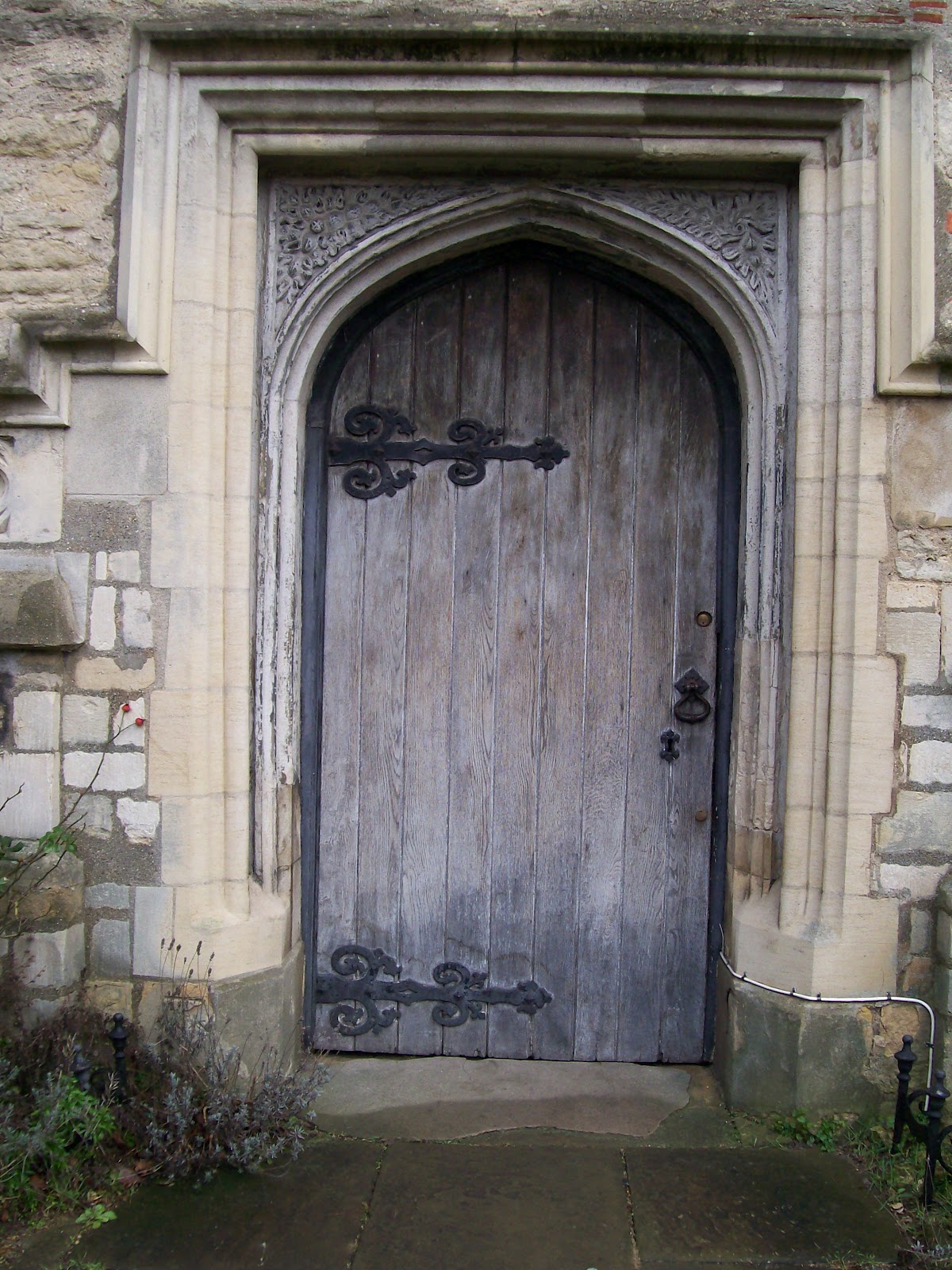 Genealogess: LOGSDON