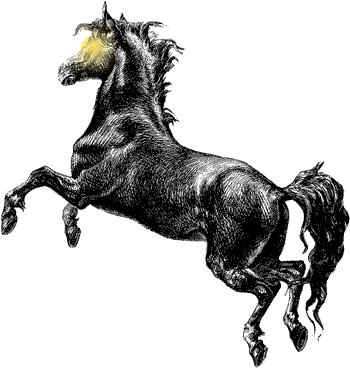 Fairies in Celtic Folklore