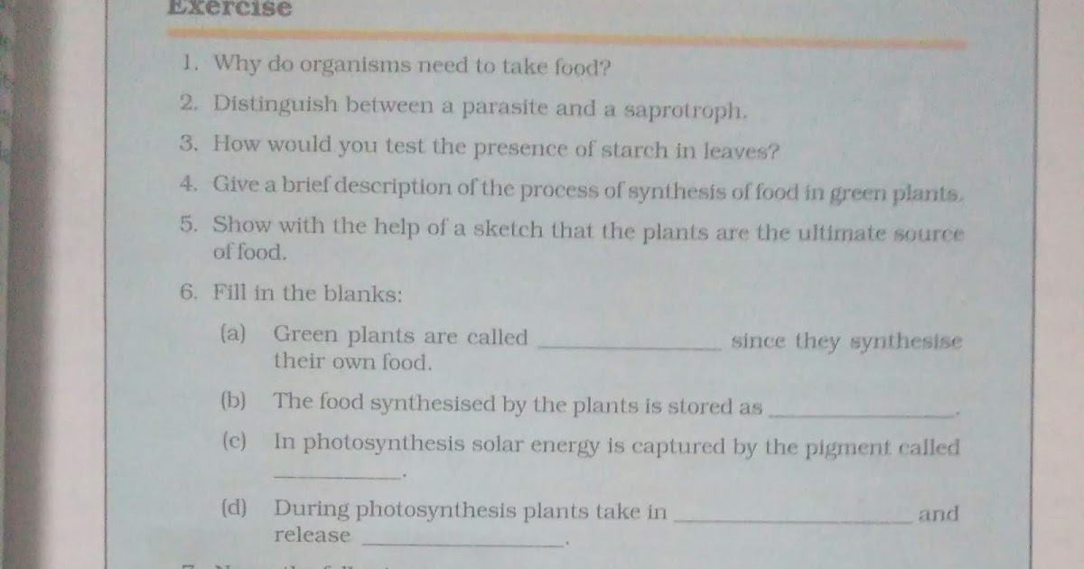 SCIENCE: Nutrition in plants class 7