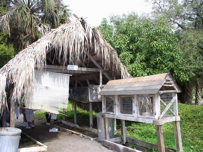 Walkabout with Becky: ECHO and the Global Village