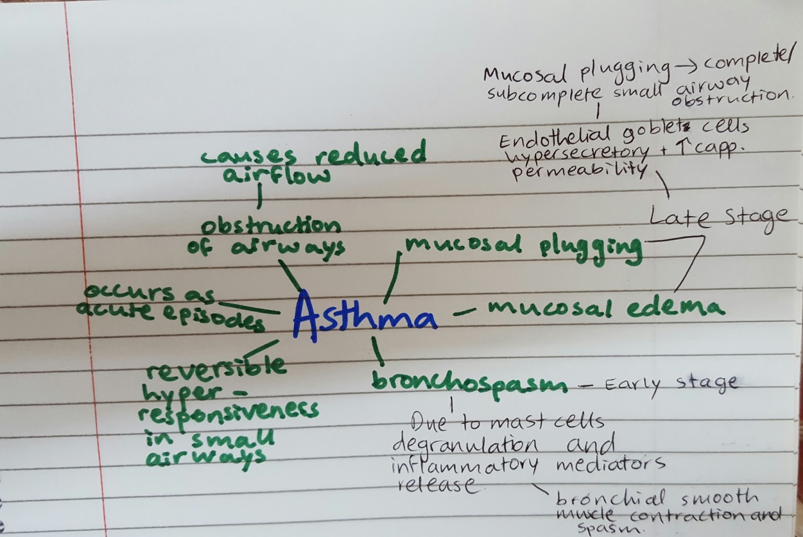 Respiratory Portfolio: Week 3