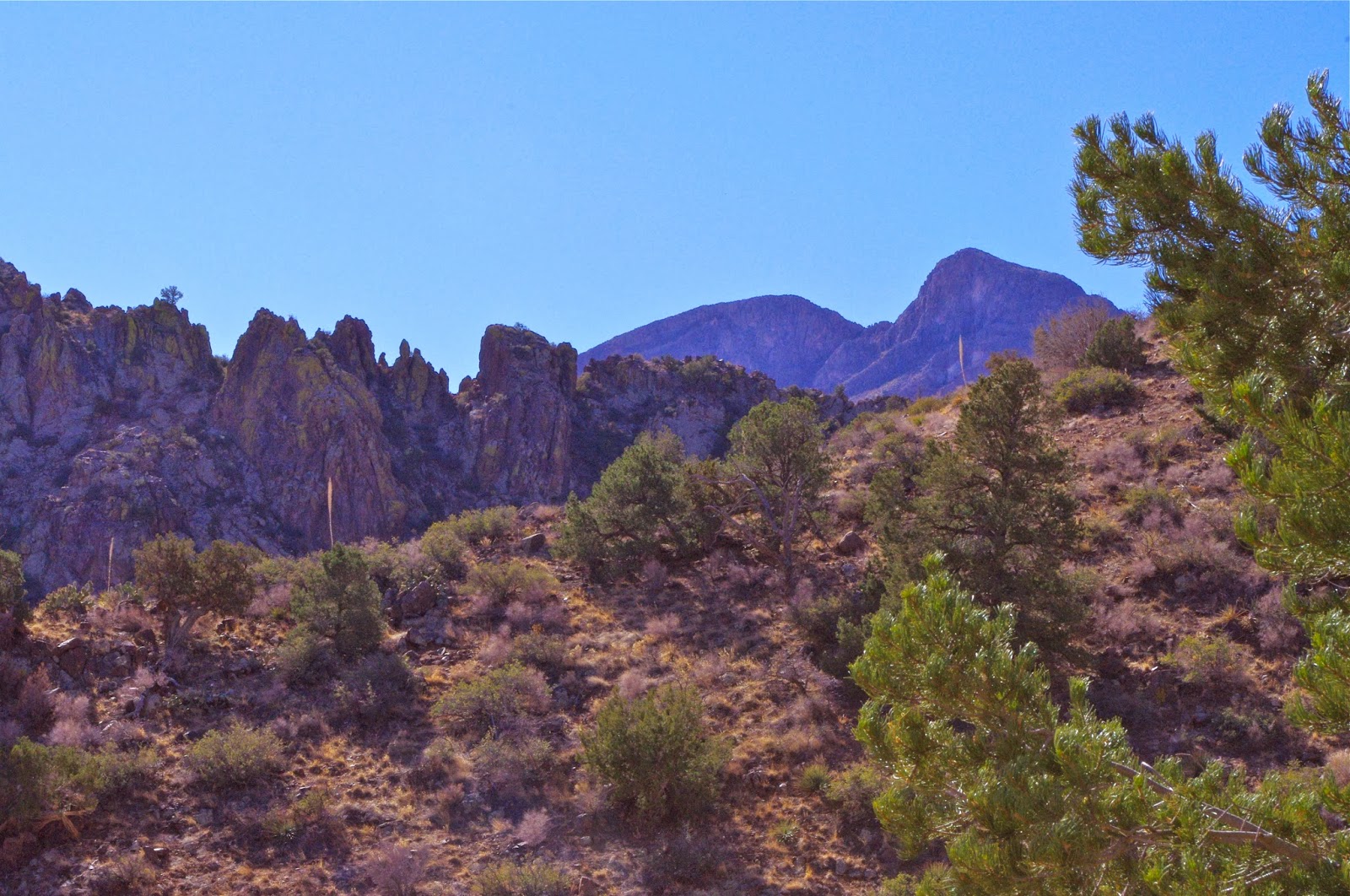Southern New Mexico Explorer: Florida Mountains- Florida Mountains WSA