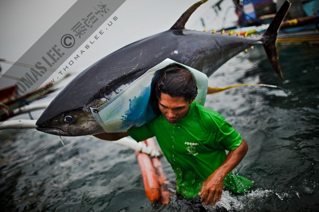 THE GENERAL SANTOS CITY